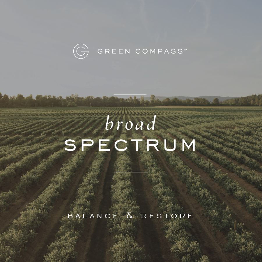 Why I Became A Green Compass Advocate My Experience So Far