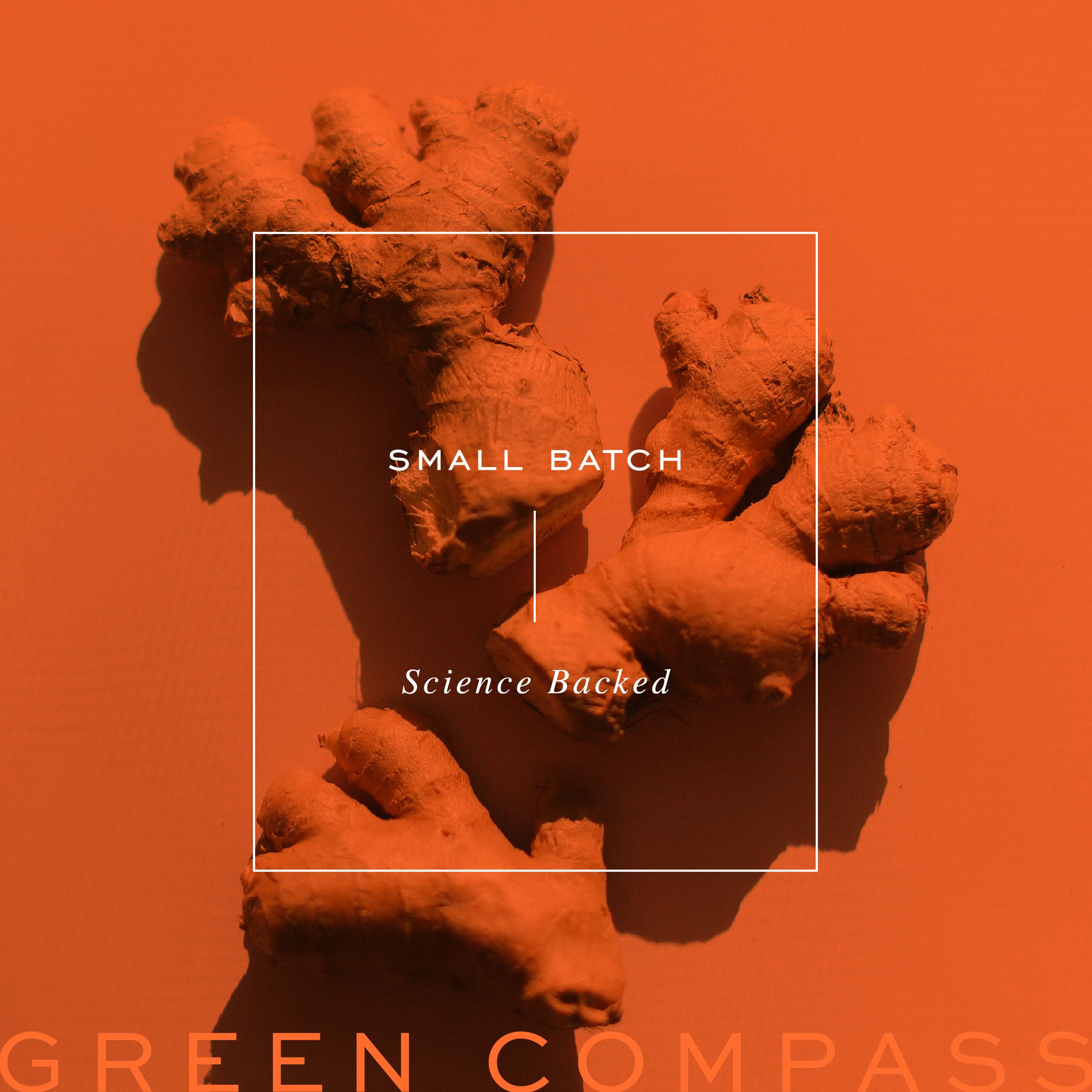 Why I Became A Green Compass Advocate My Experience So Far