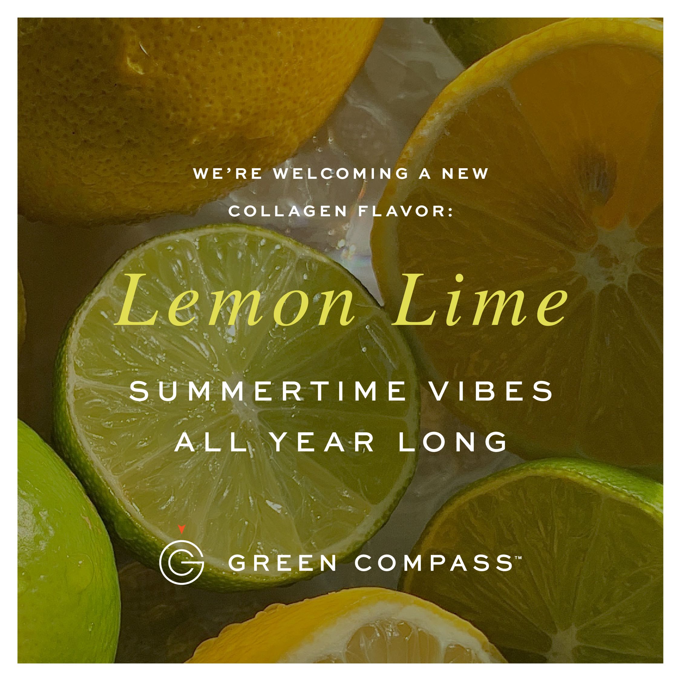 Why I Became A Green Compass Advocate My Experience So Far